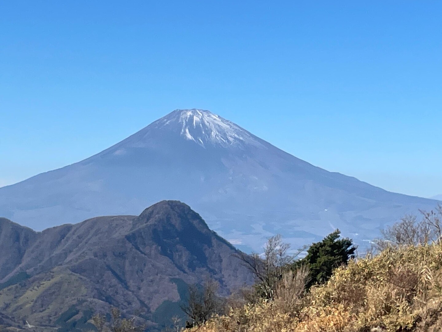 明神ヶ岳・明星ヶ岳 / hal0330さんの金時山・明神ヶ岳の活動データ | YAMAP / ヤマップ