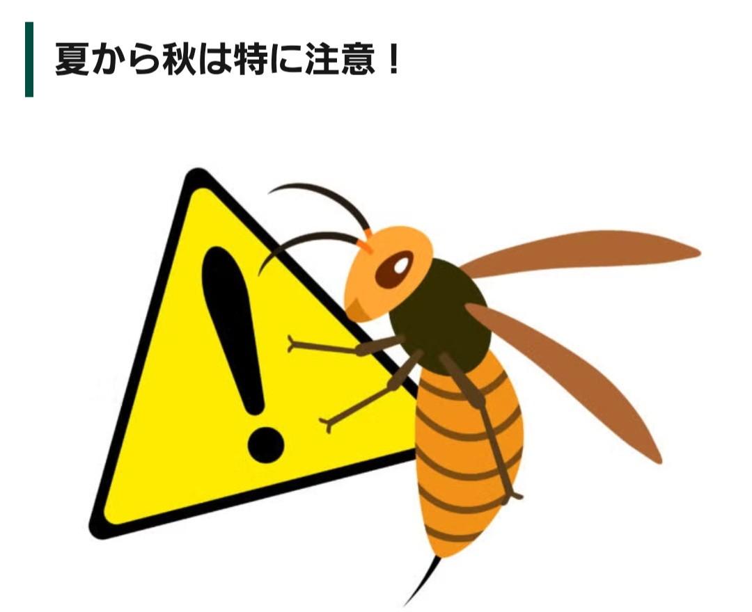 【黒いウエアは狙われるって本当！？ スズ... / shimoさんのモーメント | YAMAP / ヤマップ