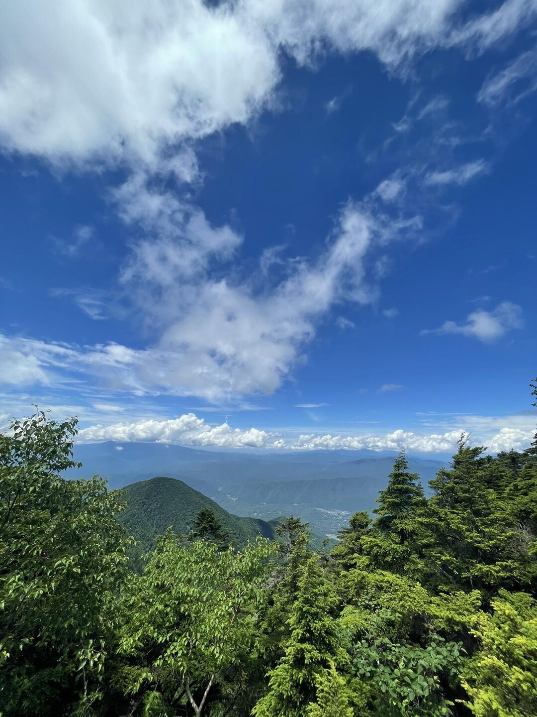 麦草岳 木曽駒ヶ岳-2023-07-31 / MSKさんの木曽駒ヶ岳・空木岳・越百山の活動データ | YAMAP / ヤマップ