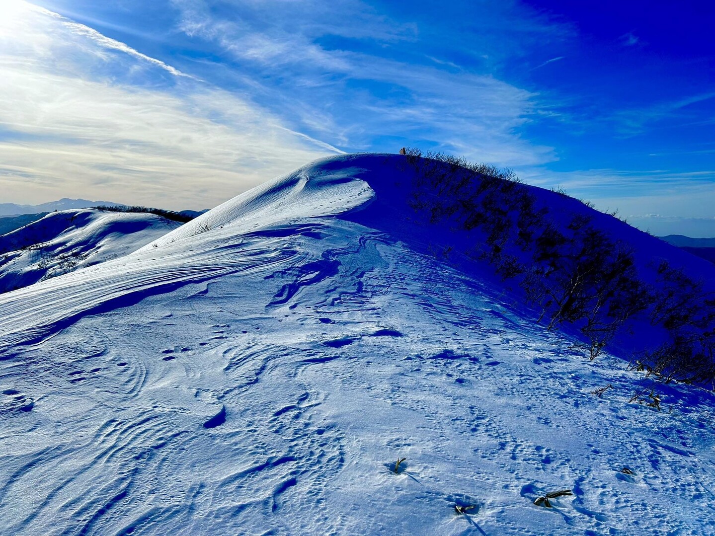 白木峰 / mineさんの白木峰・小白木峰の活動データ | YAMAP / ヤマップ