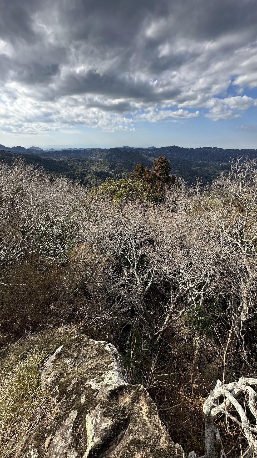 otouさんの投稿したフィールドメモ | YAMAP / ヤマップ