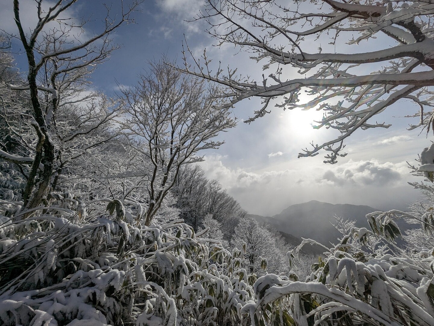 母袋烏帽子岳 / gifu.redさんの母袋烏帽子岳の活動データ | YAMAP / ヤマップ