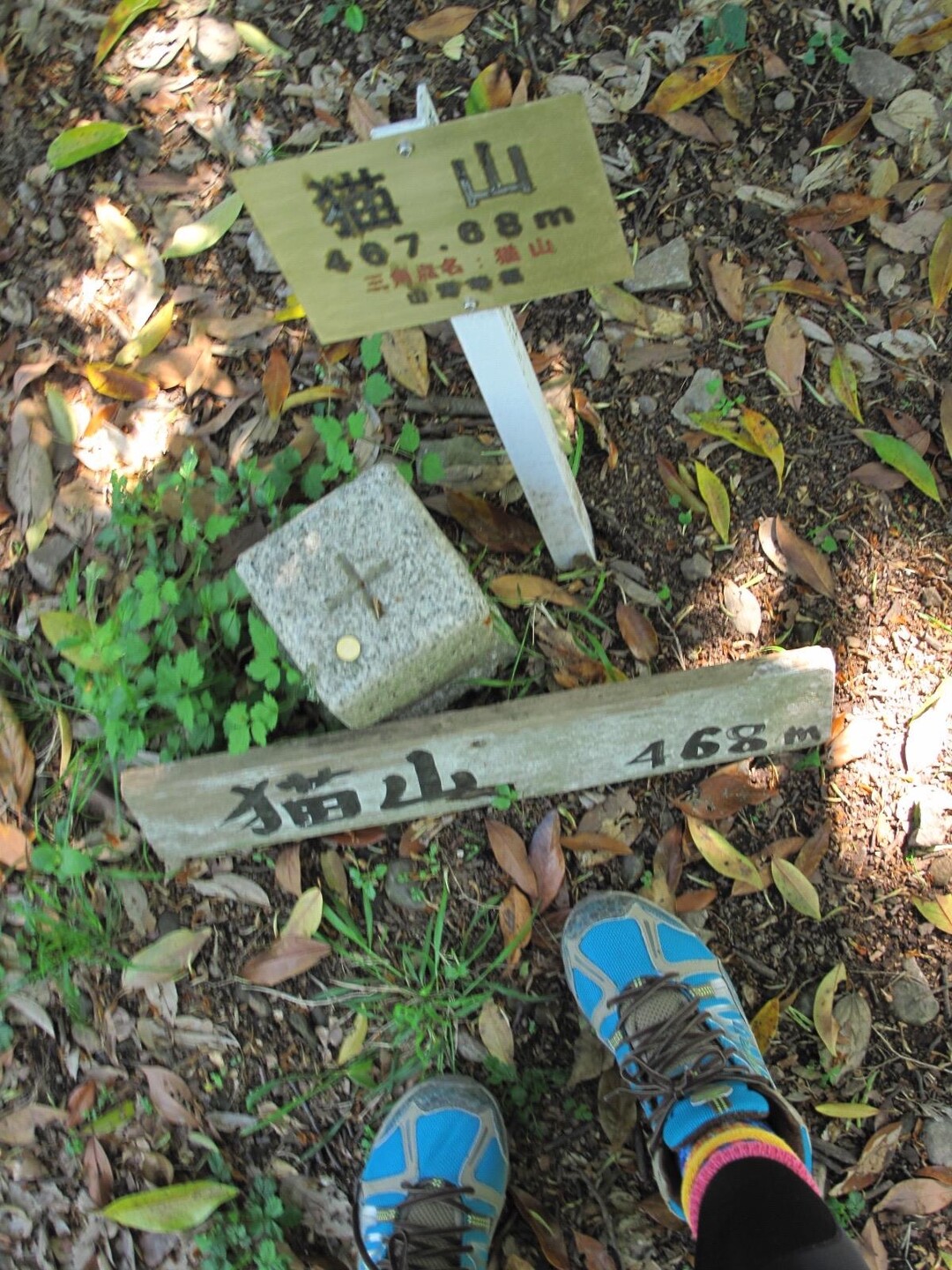 【城山・猫山・大高見峰】② 2014年5... / yu–kiさんのモーメント | YAMAP / ヤマップ