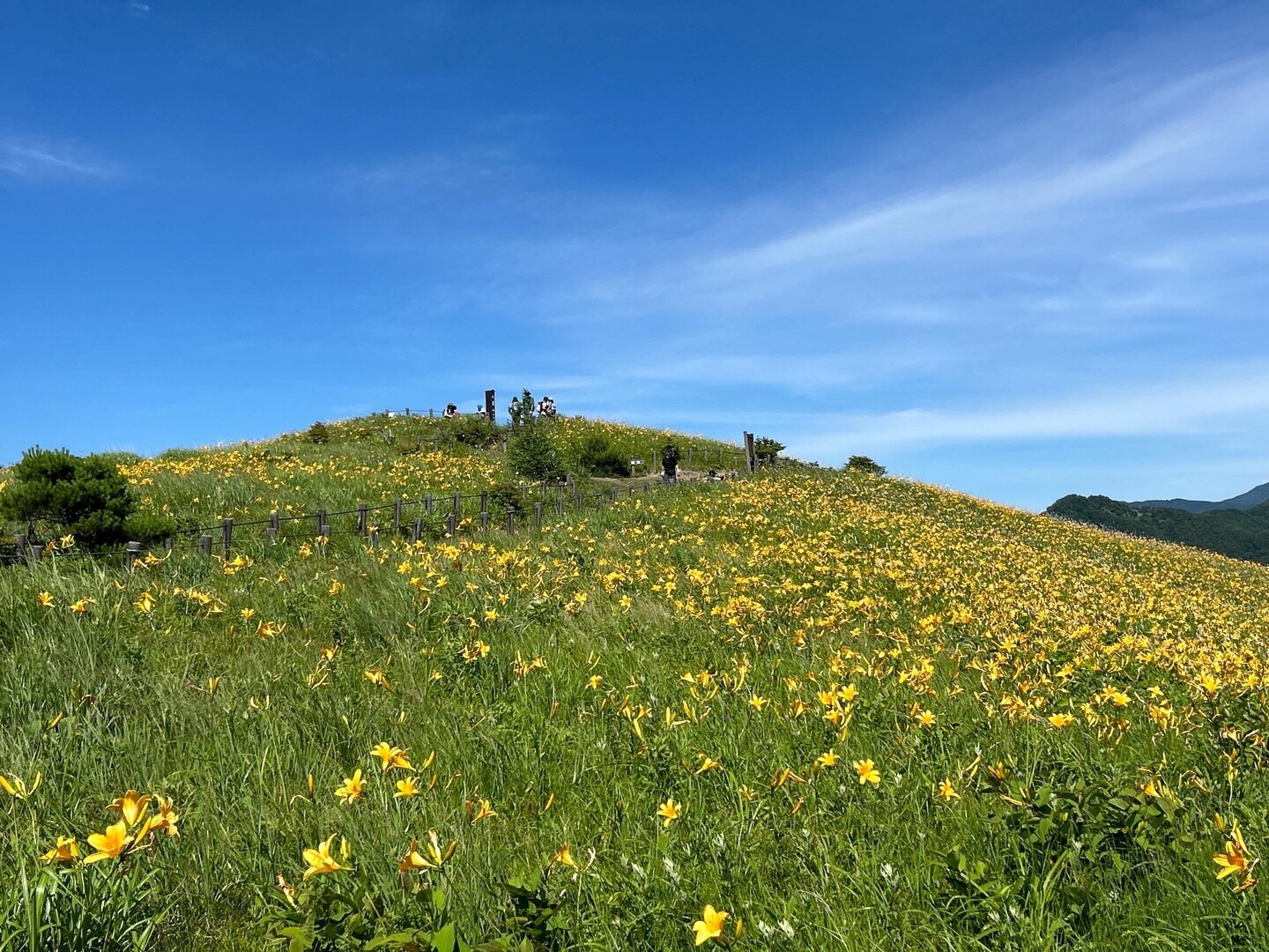 平沢山・大盛山・飯盛山 / papeさんの飯盛山の活動データ | YAMAP / ヤマップ