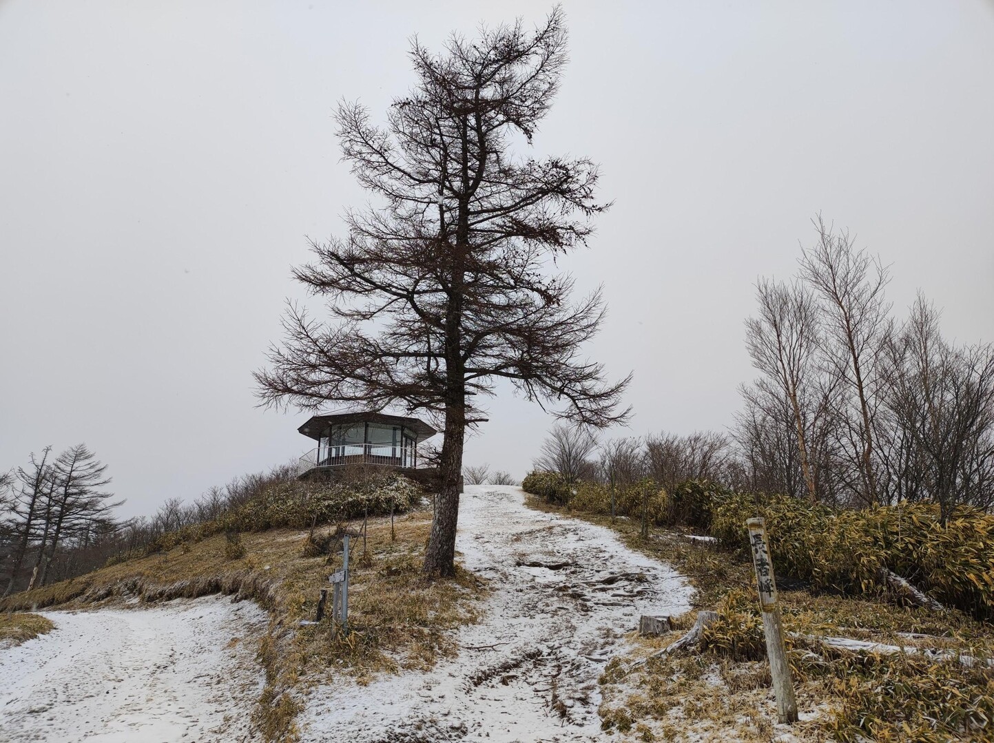 長者峰・高嶺 / dk0711さんの高嶺山・長者峰の活動データ | YAMAP / ヤマップ