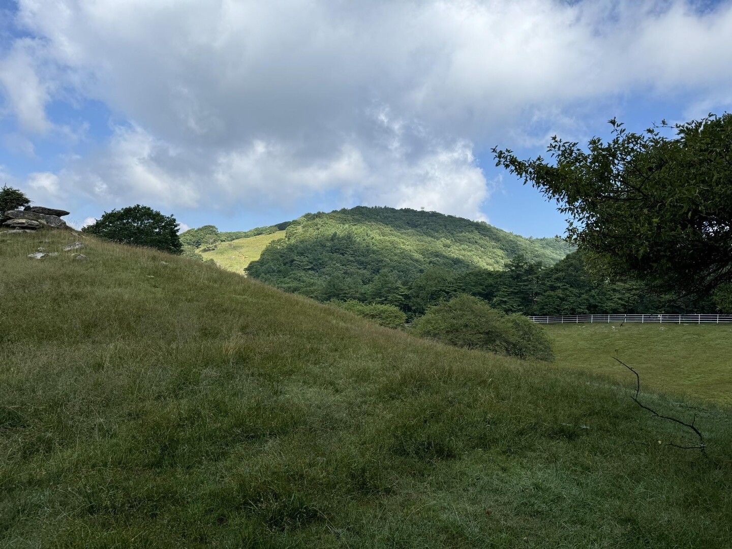 久しぶりの横根高原方塞山 / hamさんの横根山・方塞山・井戸湿原の活動データ | YAMAP / ヤマップ