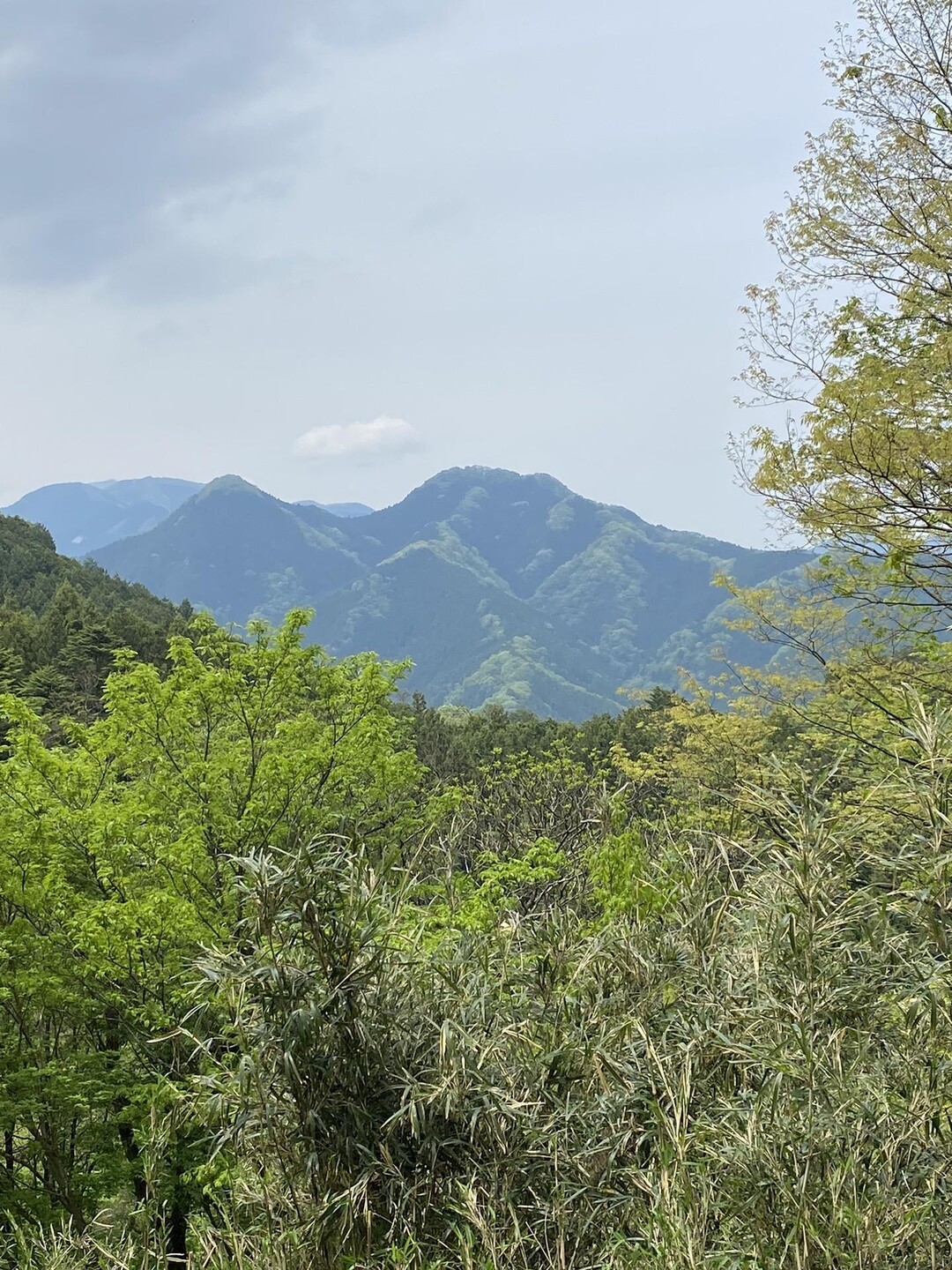新緑の伊豆ヶ岳から子ノ権現へ / ユーザーakko0502さんの武甲山・伊豆ヶ岳・小持山の活動データ | YAMAP / ヤマップ