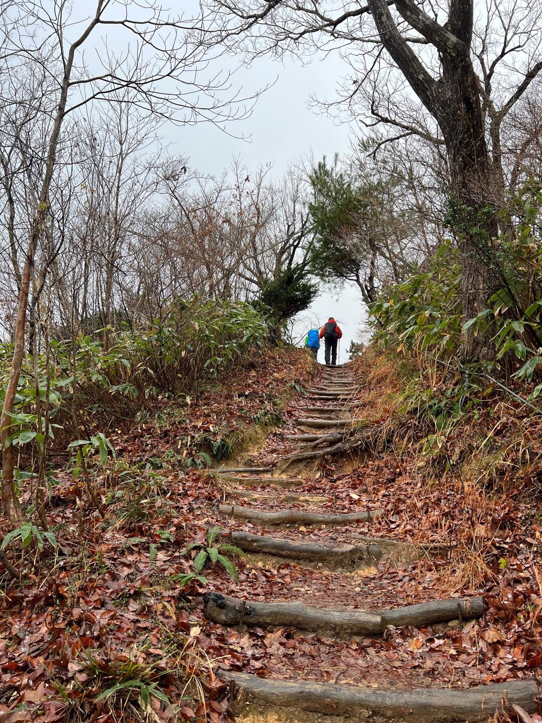 爆風の鬼ヶ岳🌪 / ma_han_mさんの鬼ヶ岳の活動データ | YAMAP / ヤマップ