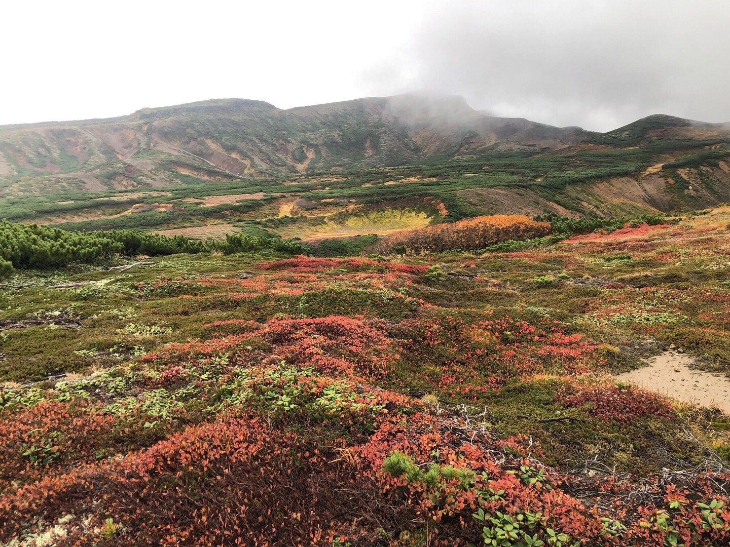 黒岳 / katuraさんの大雪山系・旭岳・トムラウシの活動データ | YAMAP / ヤマップ