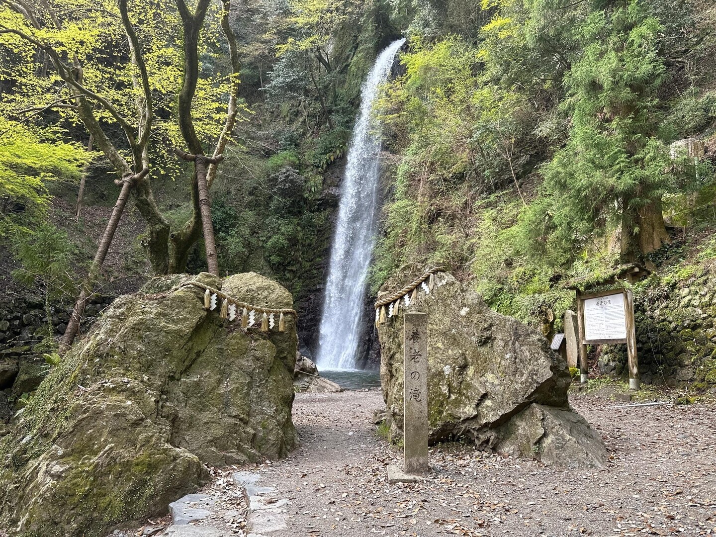 三方山・小倉山・北尾根P826峰 / あああああさんの養老山・笙ヶ岳・三方山の活動データ | YAMAP / ヤマップ