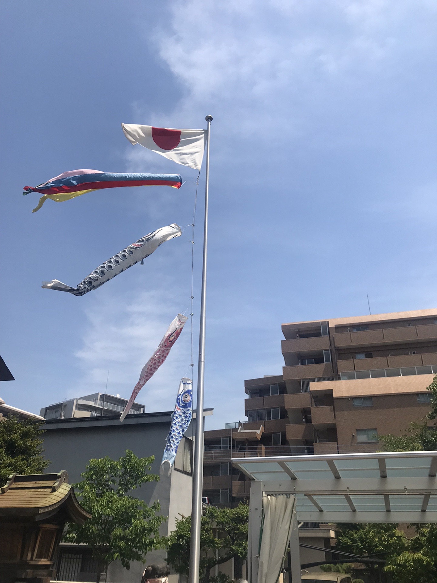 今日も風が気持ちいい👍鯉もよく泳いでい... / drankmonkeyさんのモーメント | YAMAP / ヤマップ