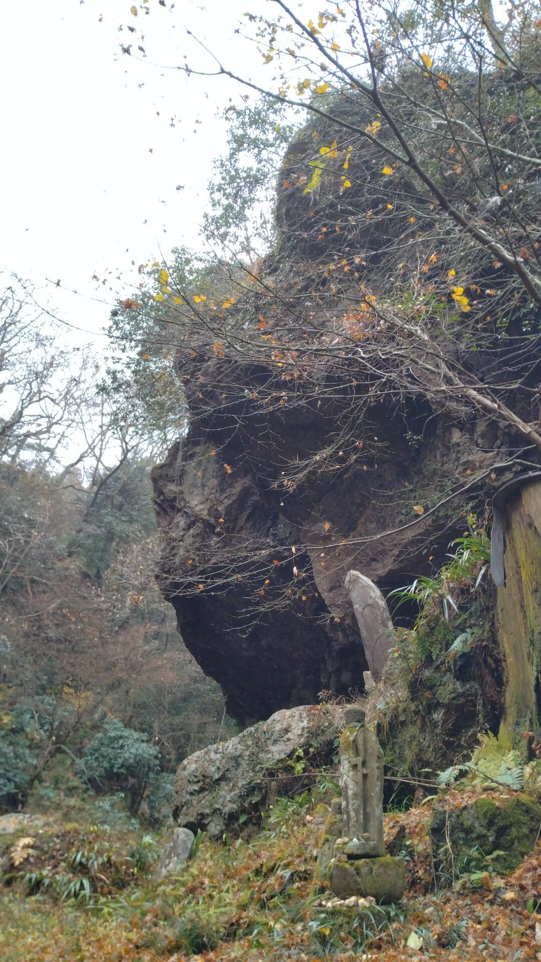 高取山 / type52さんの御前山の活動データ | YAMAP / ヤマップ