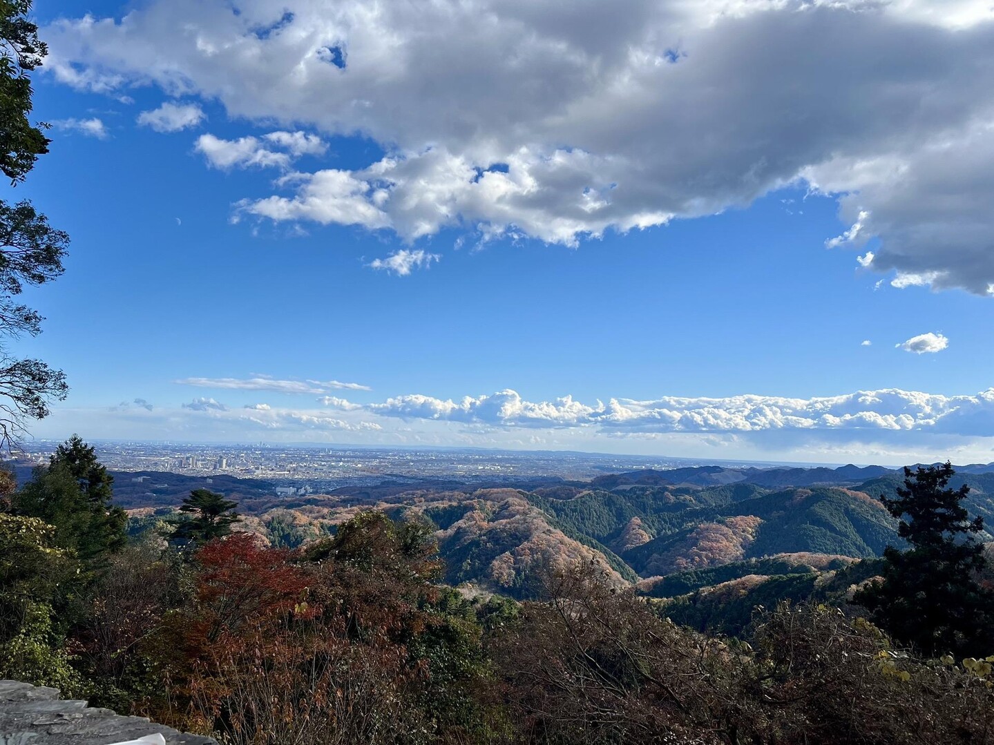 子連れで高尾山の紅葉 / kanaさんの高尾山・陣馬山・景信山の活動データ | YAMAP / ヤマップ