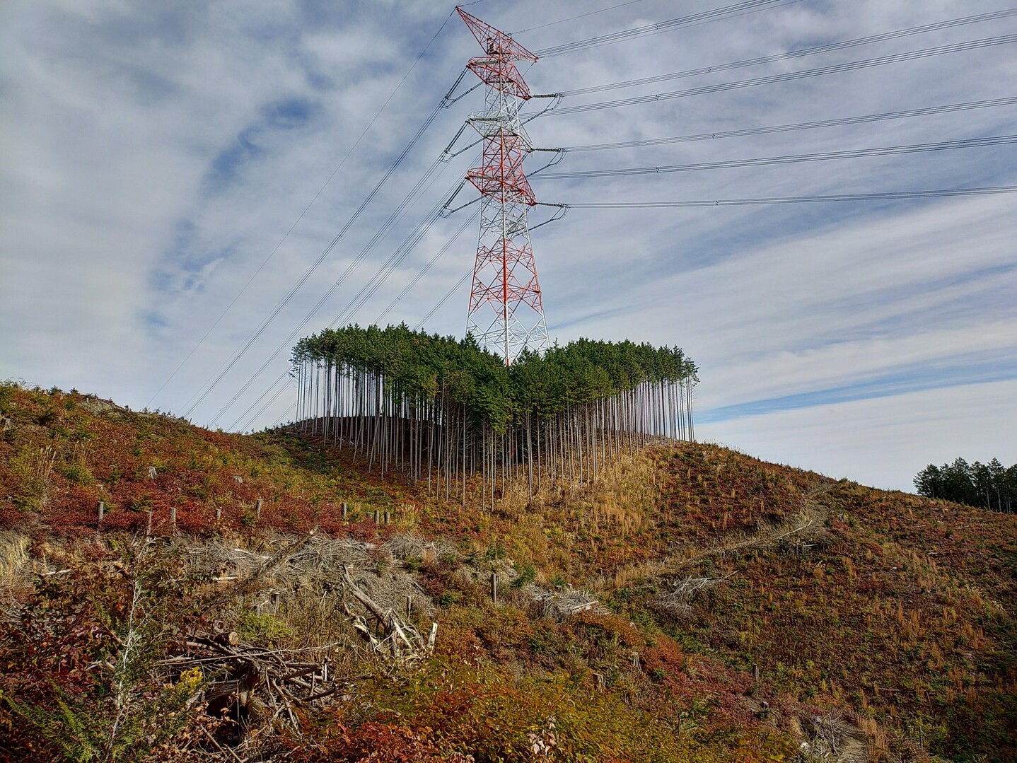 「🩷のお山😍 」高戸山 / Neo-amaterasuさんの花瓶山・見張山・戸屋山の活動データ | YAMAP / ヤマップ