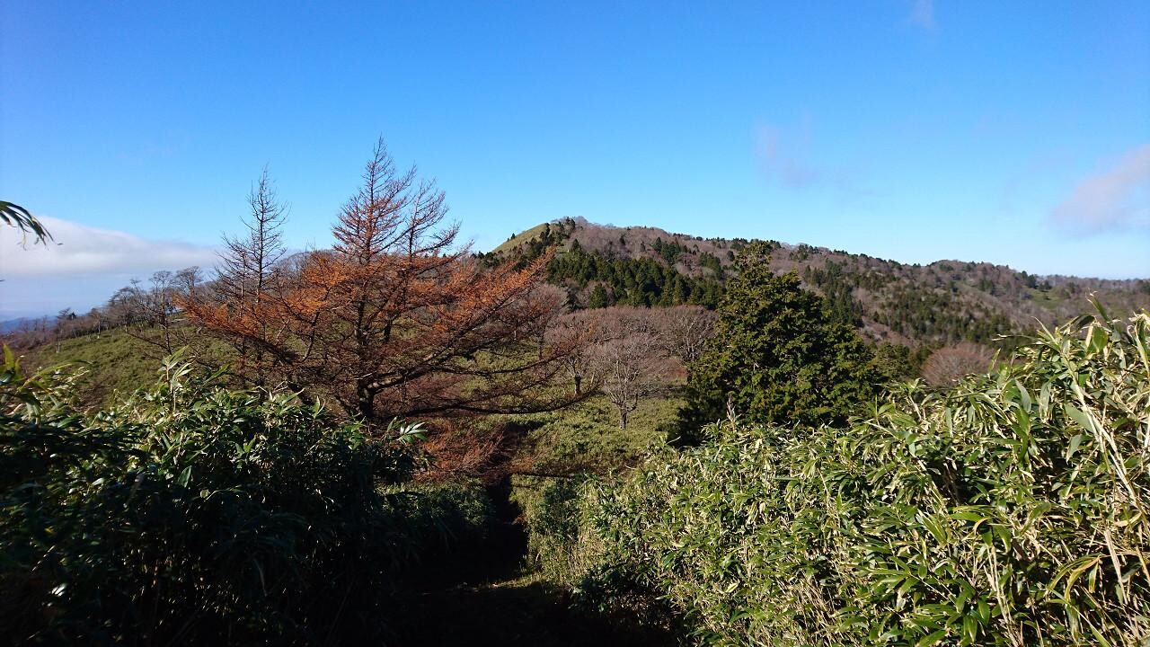 後山から駒の尾山縦走 / LIONさんの後山・船木山・駒の尾山の活動データ | YAMAP / ヤマップ