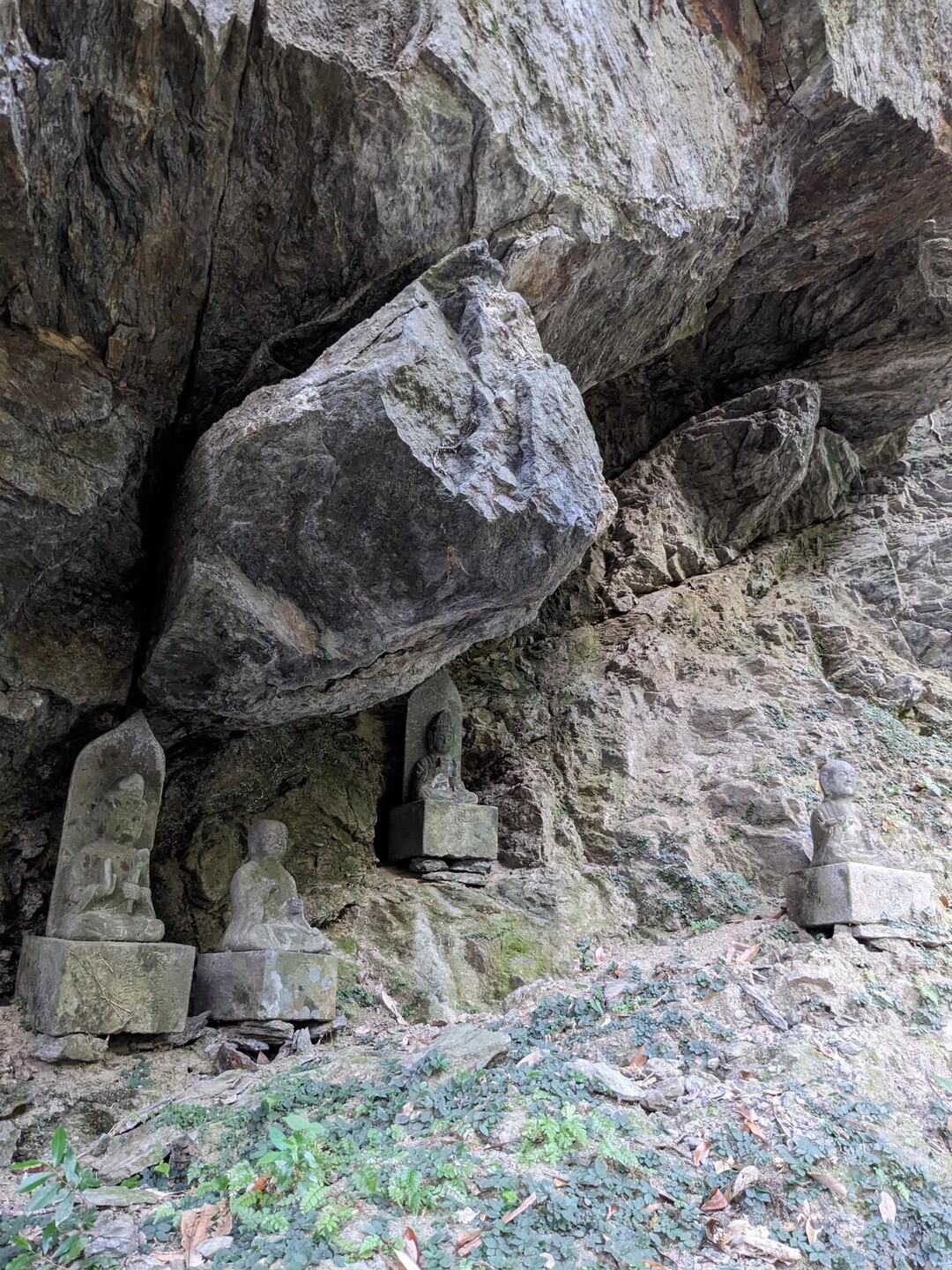 石仏に会いに 発心公園から / mkhkさんの高良山・発心山・鷹取山の活動日記 | YAMAP / ヤマップ