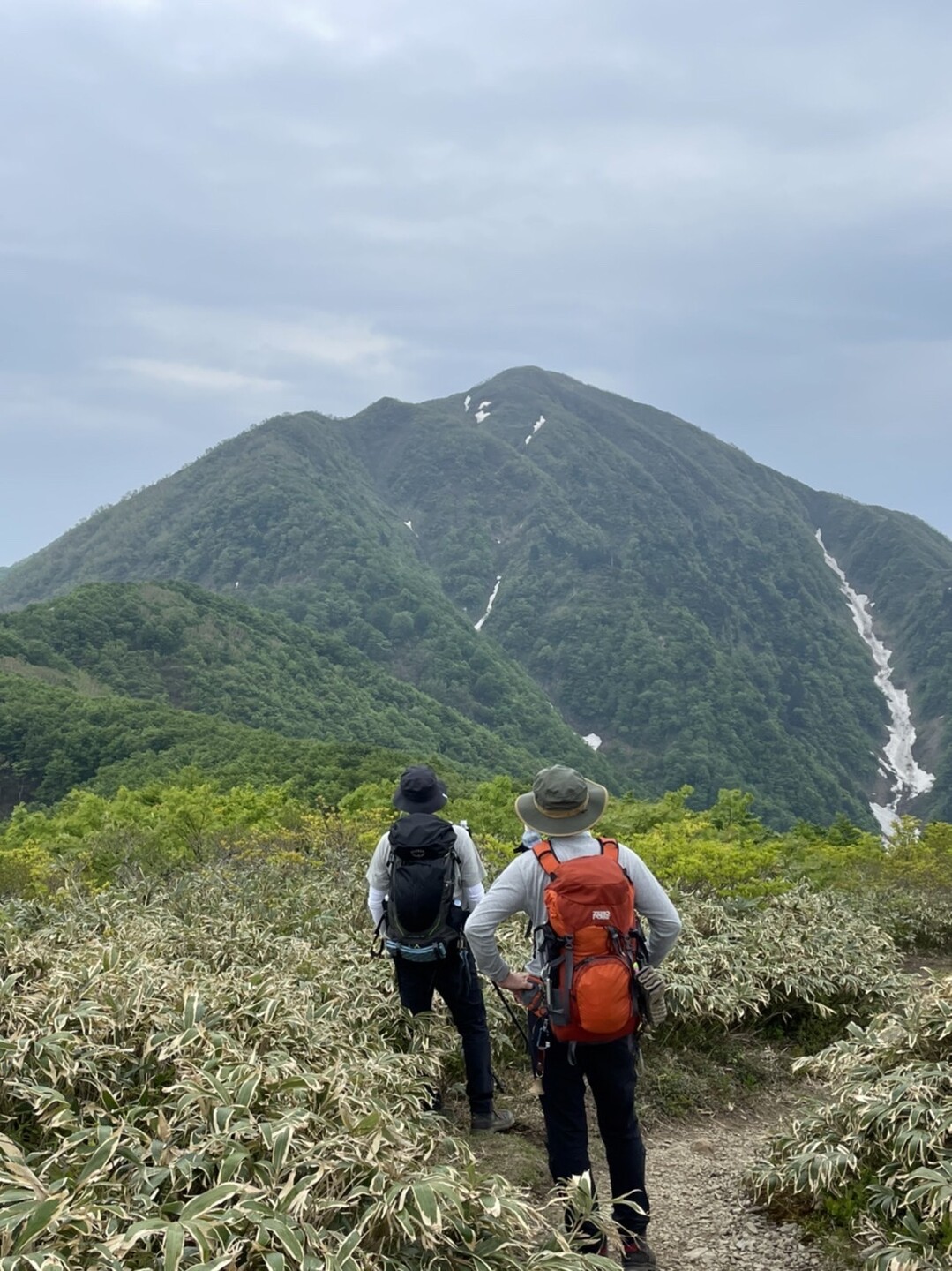 荒島岳 / i_am_MATSU🌳さんの荒島岳の活動データ | YAMAP / ヤマップ
