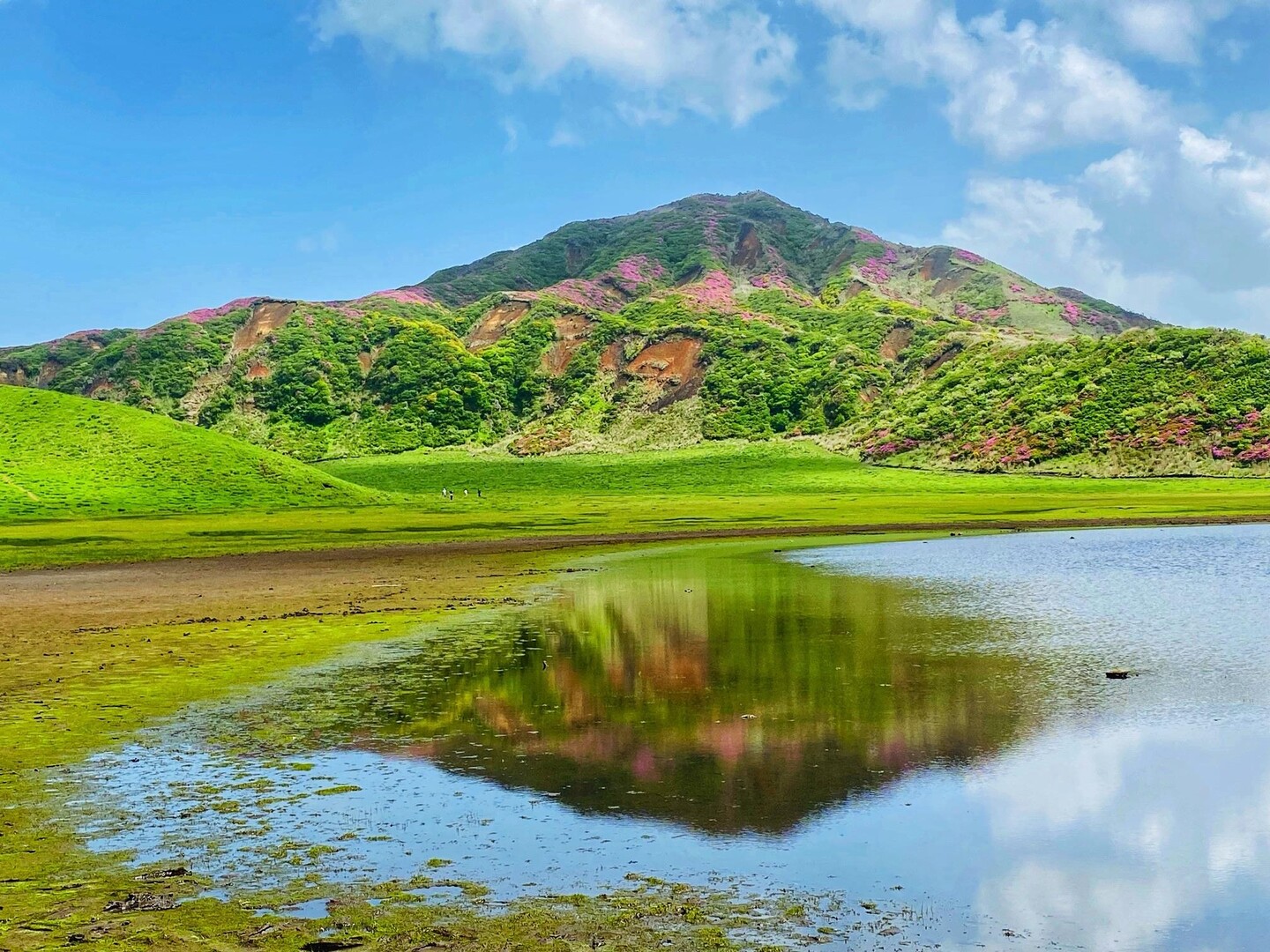 新緑🌳杵島岳からのMK🌺烏帽子岳 / Ycoさんの阿蘇山・高岳・根子岳の活動データ | YAMAP / ヤマップ