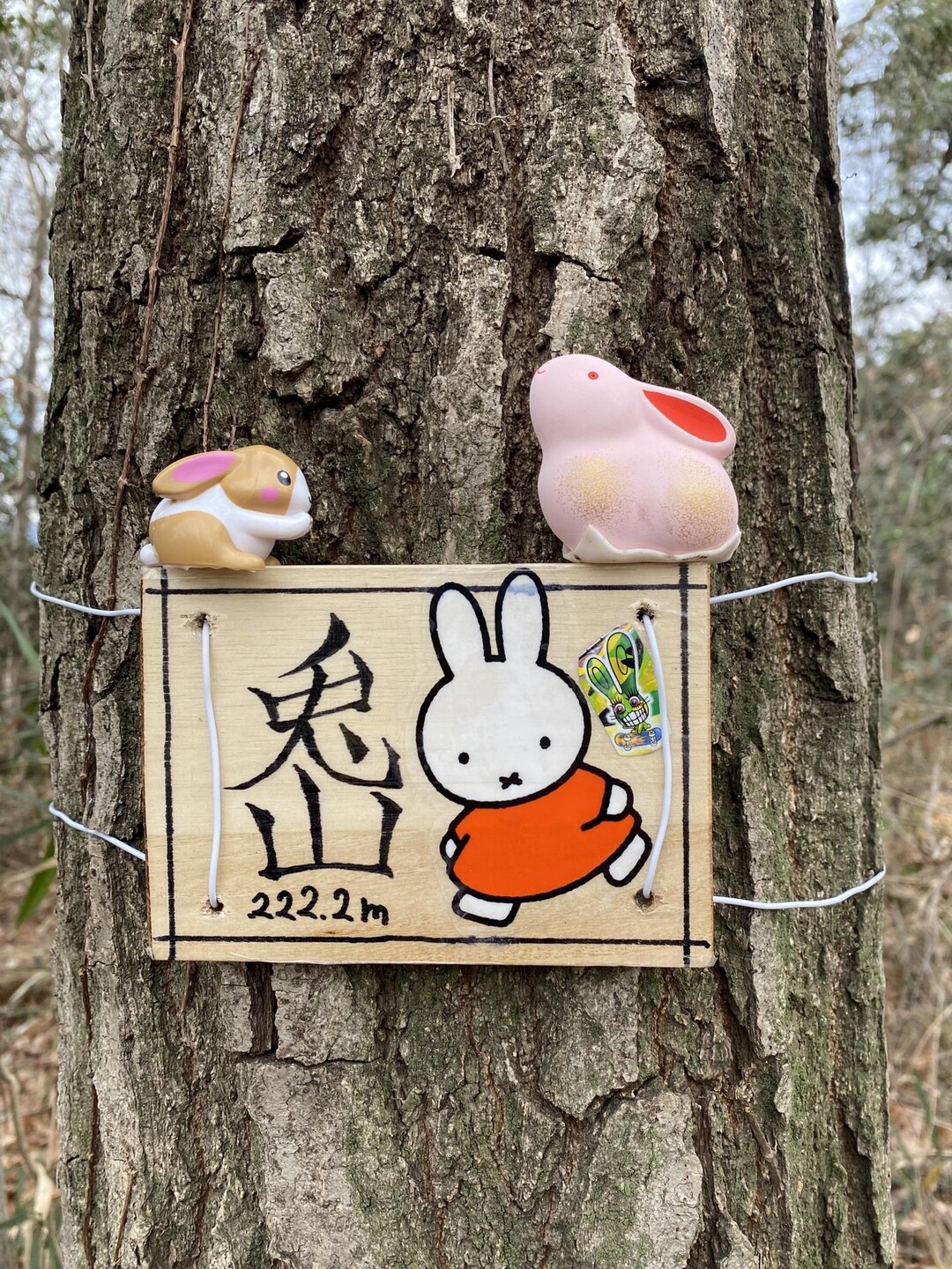 うさぎ年にはうさぎ山からお散歩です😊鹿田山・御嶽山・弥右衛門山・道帰り山 / Joe-Rice さんの鹿田山の活動データ | YAMAP / ヤマップ
