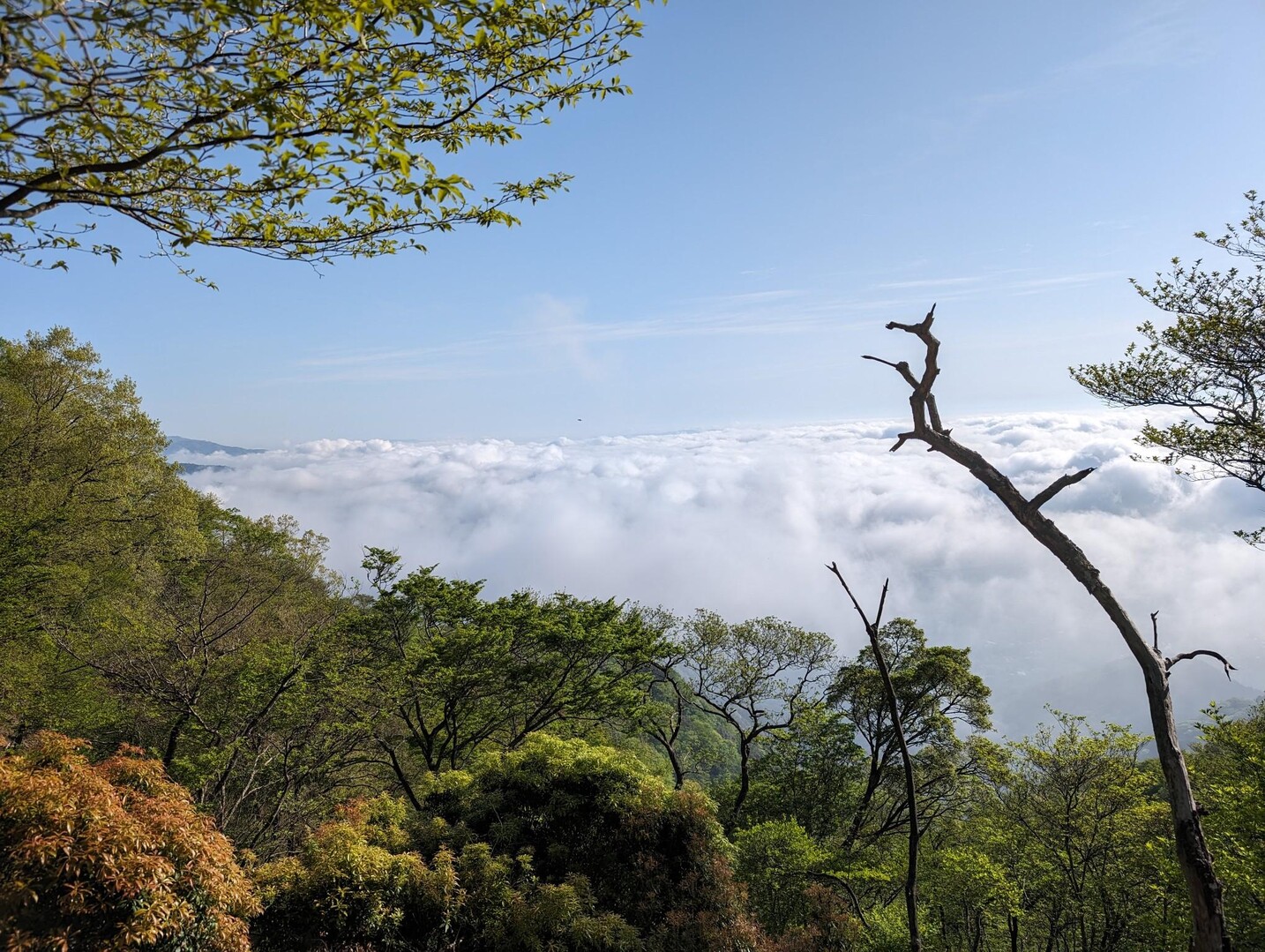 雲母峰Ⅱ峰・雲母峰・雲母西峰・P791 / モアイ婆さんの入道ヶ岳・鎌ヶ岳・仙ヶ岳の活動データ | YAMAP / ヤマップ
