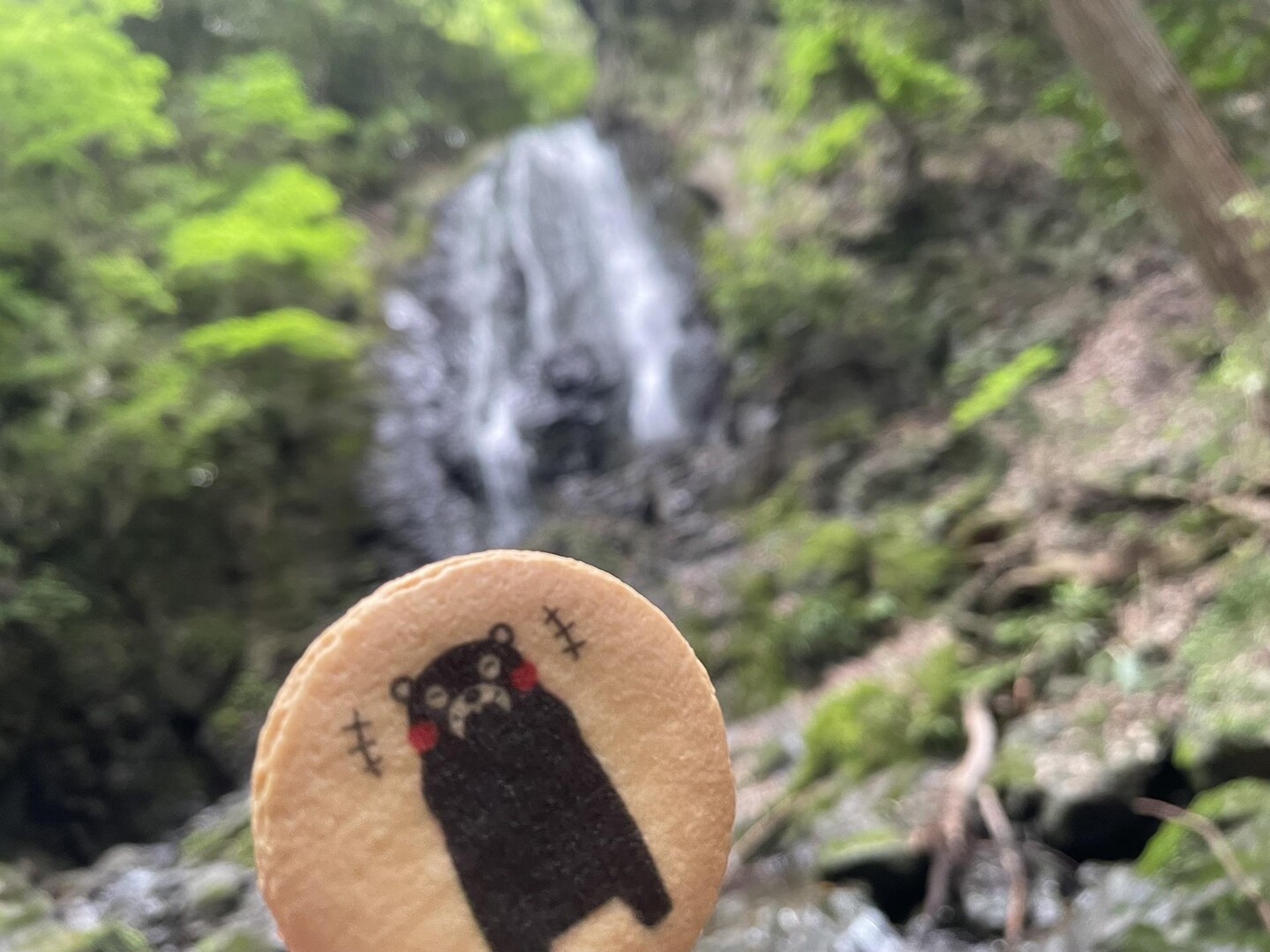 粟ヶ岳🍧 / nk-poohさんの粟ヶ岳の活動データ | YAMAP / ヤマップ