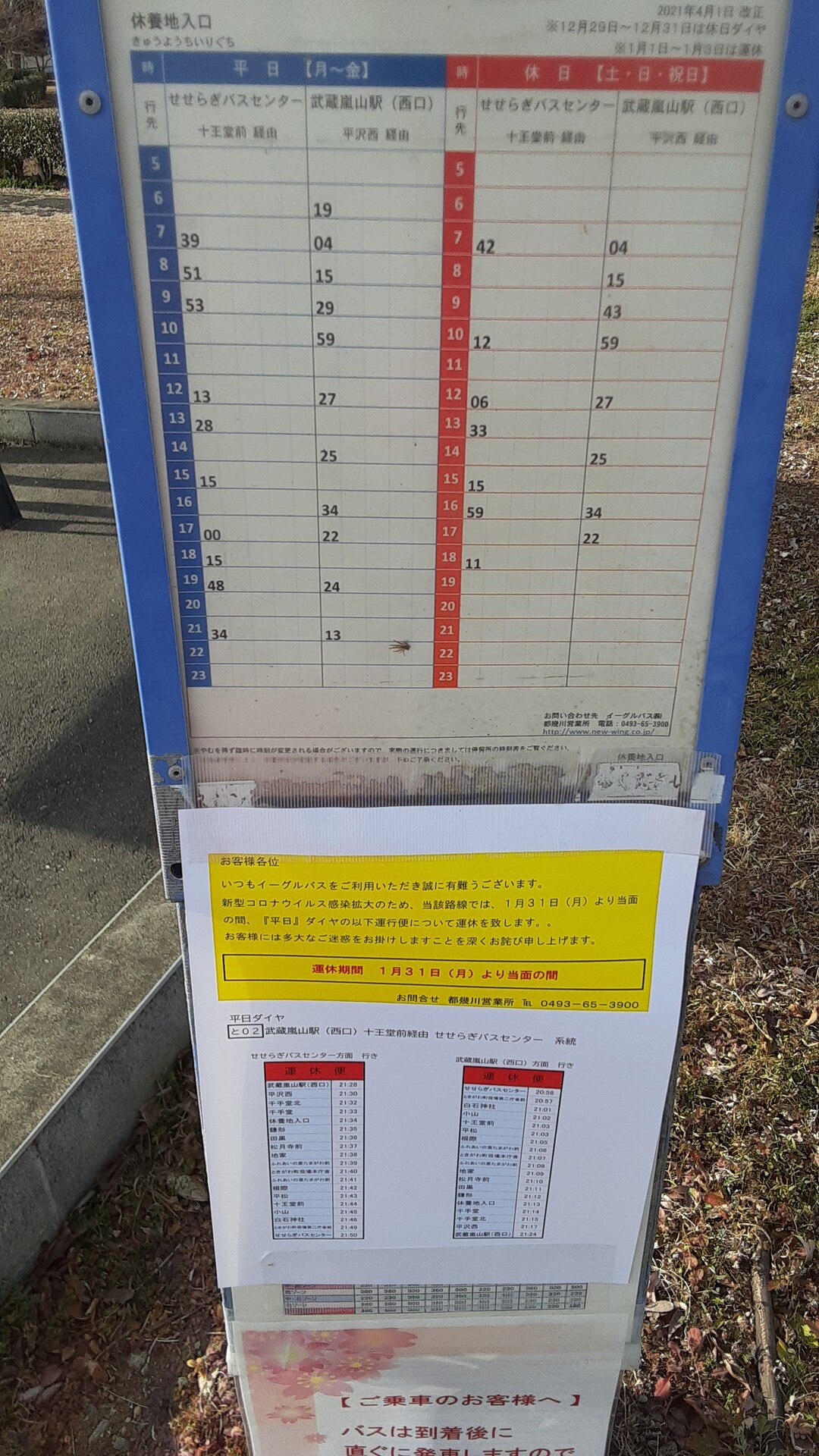 SSMさんの投稿したフィールドメモ | YAMAP / ヤマップ