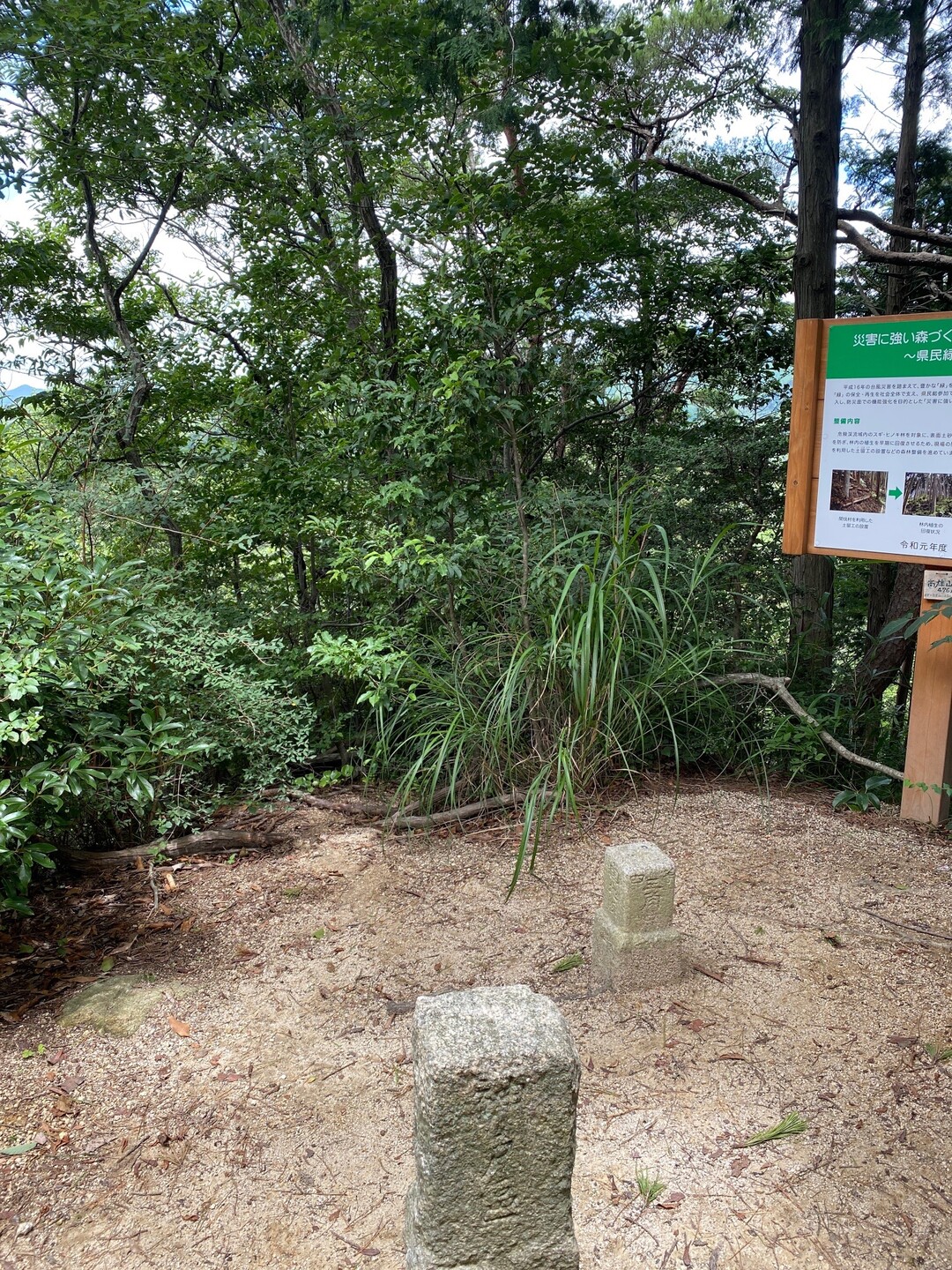 Allyさんの投稿したフィールドメモ | YAMAP / ヤマップ