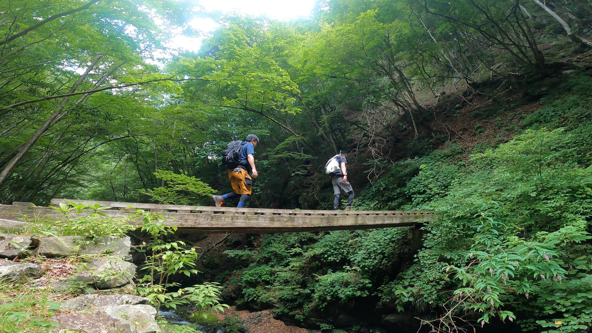 川苔山(川乗山)・鋸尾根Ⅰ峰 / yasz_wanさんの川苔山（川乗山）の活動日記 | YAMAP / ヤマップ