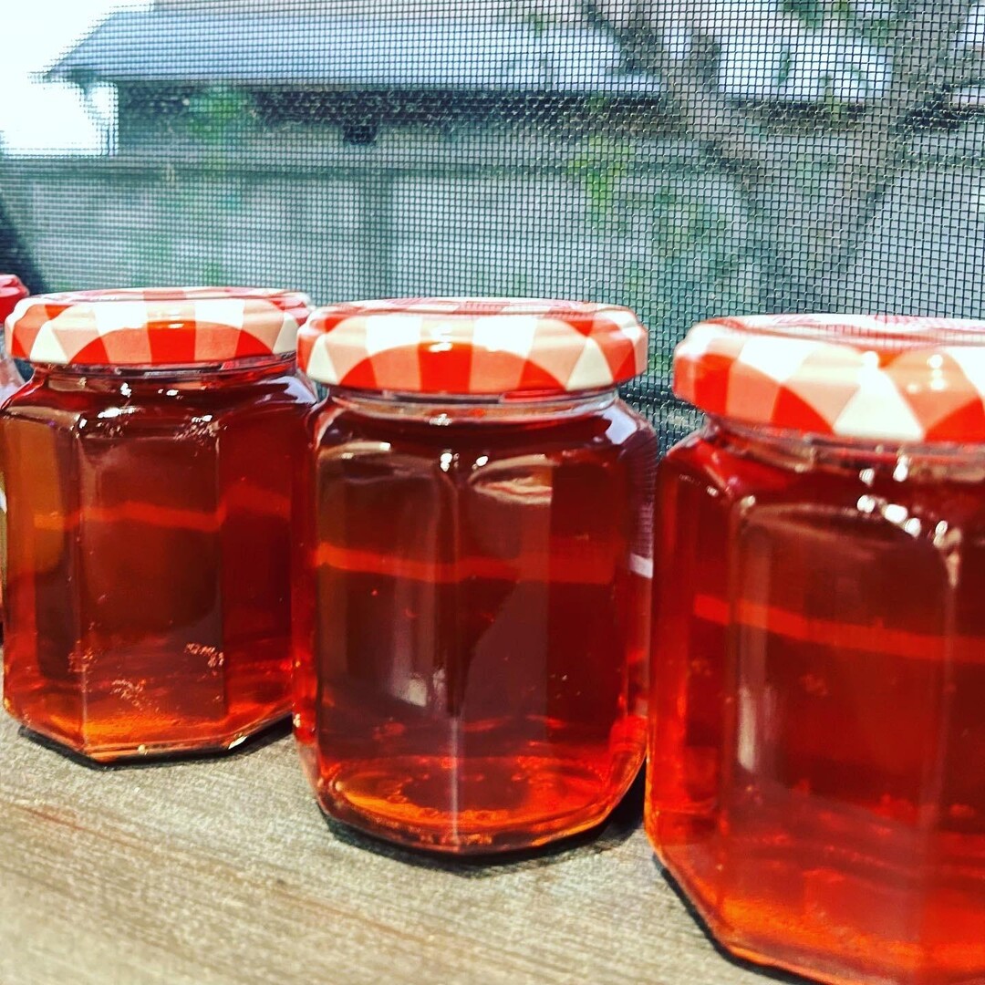 やっぱり来るよね、後遺症😓。前回の明神... / cocoさんのモーメント | YAMAP / ヤマップ