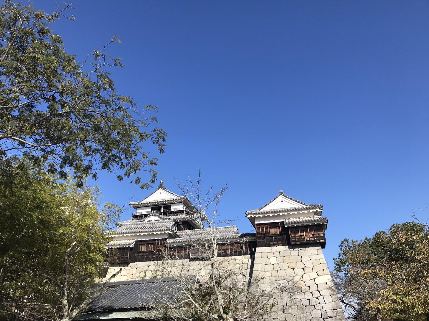 四国旅④勝山・松山城 / MOさんの松山市（南エリア）の活動データ | YAMAP / ヤマップ