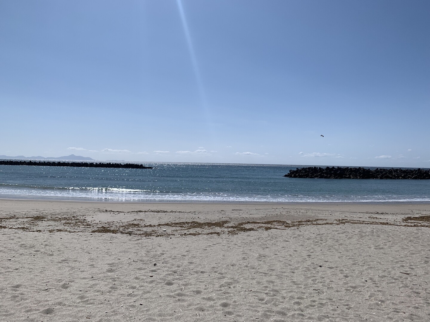 今日は照島海岸で1万5千歩！)^o^( / まいのり茶さんのモーメント | YAMAP / ヤマップ