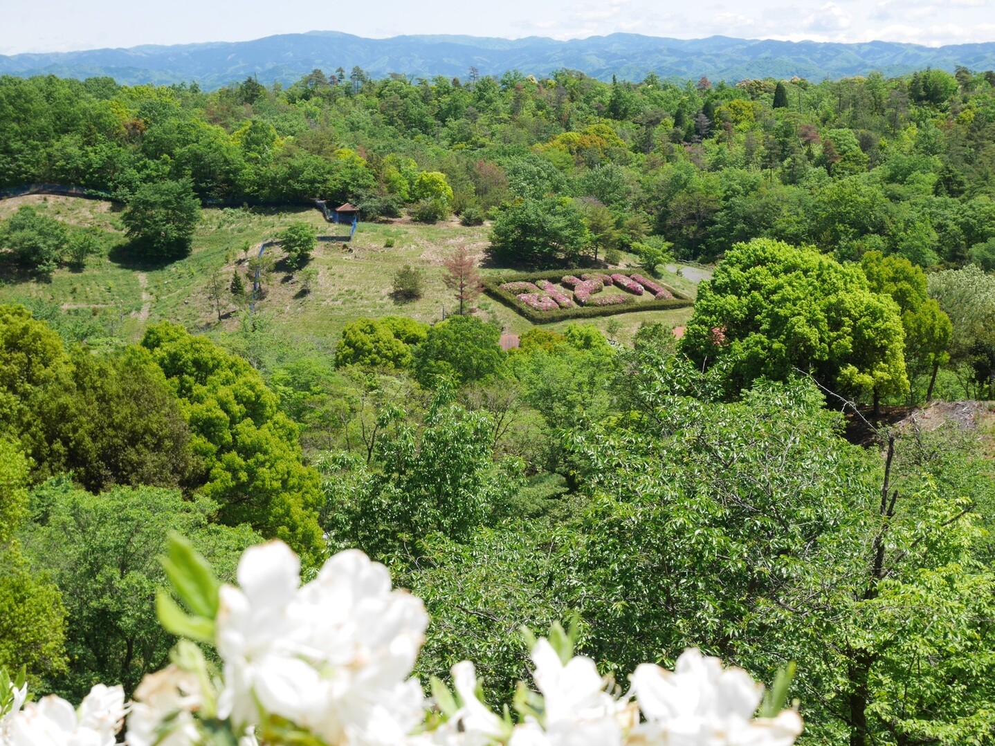 🌱新緑の昭和の森・緑化センターのウォーキング-2022-04-30 / Naope!さんのウォーキングの活動データ | YAMAP / ヤマップ