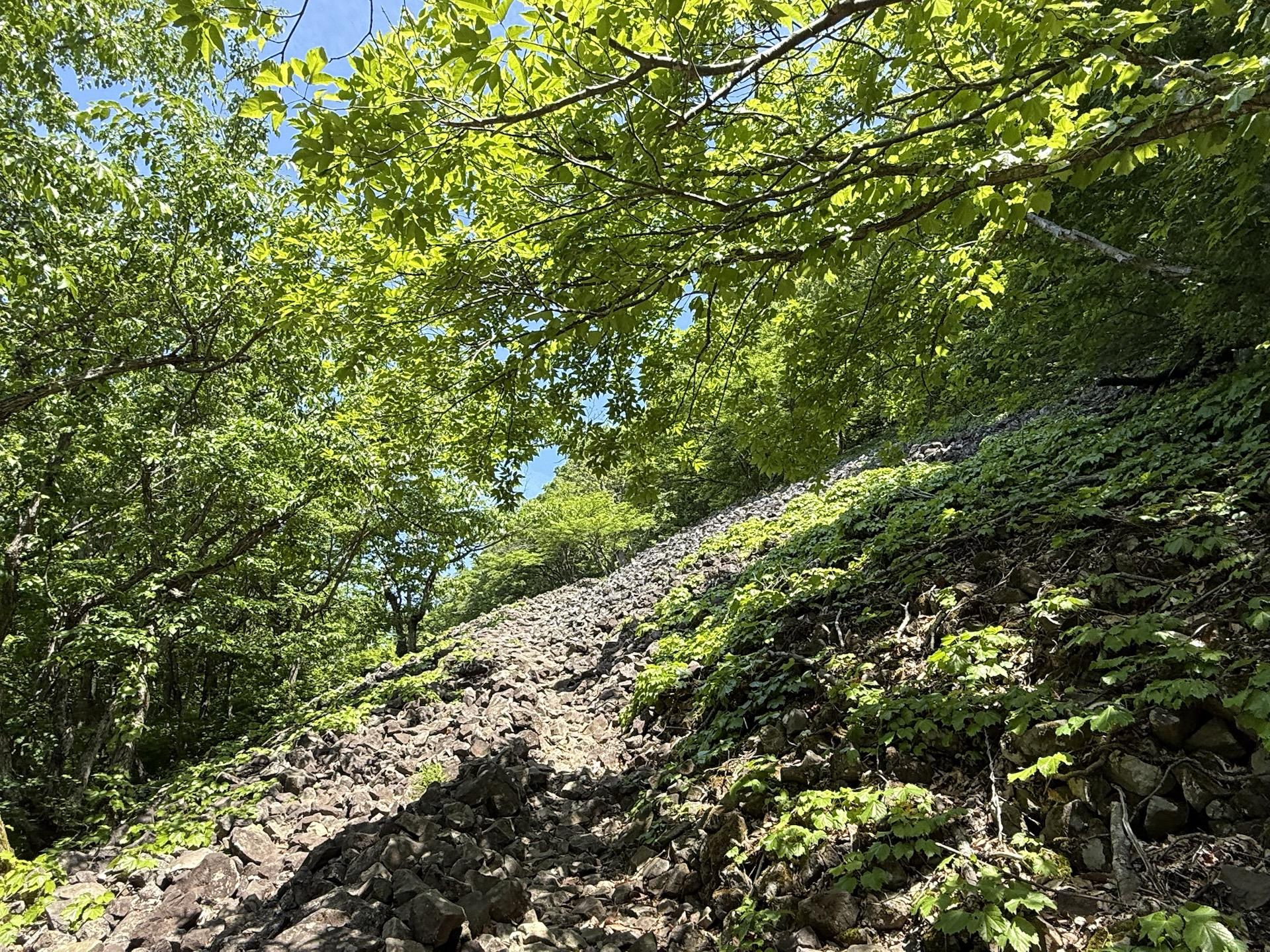 三吉山・葉山 / ろくkeyさんの三吉山・葉山の活動日記 | YAMAP / ヤマップ