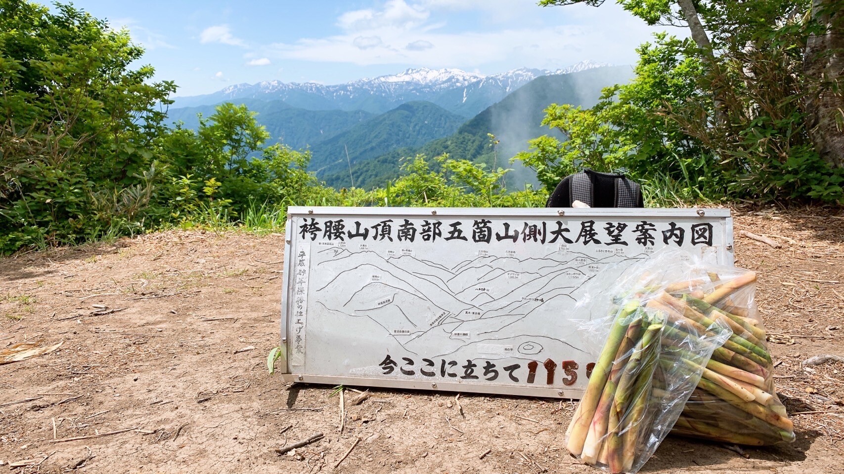 納品用採取のため竹メシ🎋 本日も美味し... / とみ(umip)さんのモーメント | YAMAP / ヤマップ