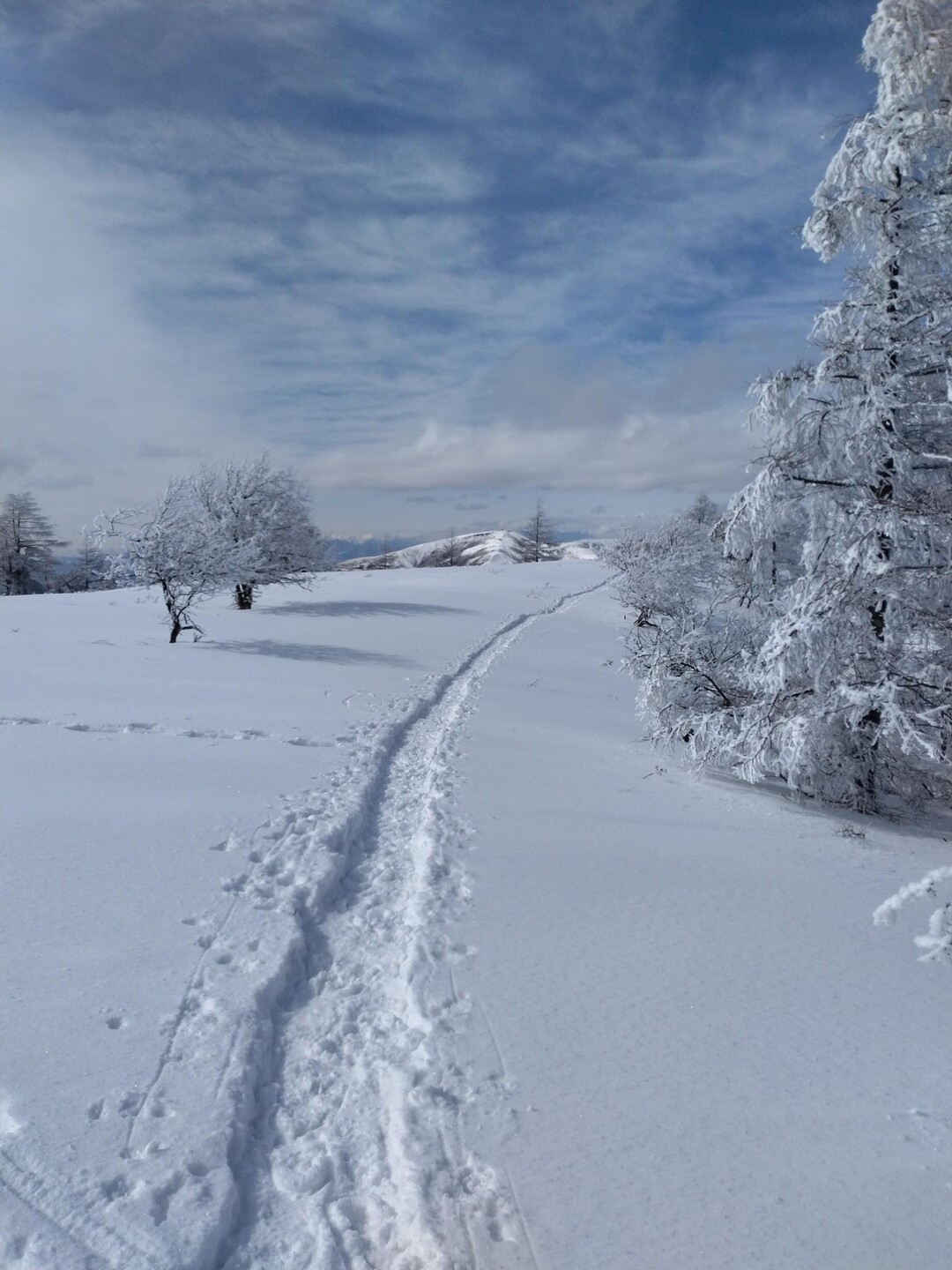 八子ヶ峰（しらかば2in1スキー場🎿）-2023-02-15 / ichiroさんの蓼科山・横岳・縞枯山の活動データ | YAMAP / ヤマップ