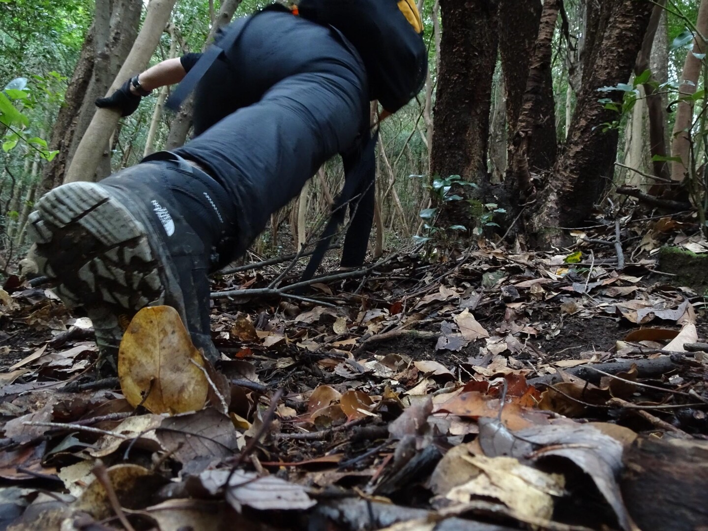 23回目 #ソロ登山レポート 1 ... / OKさんのモーメント | YAMAP / ヤマップ