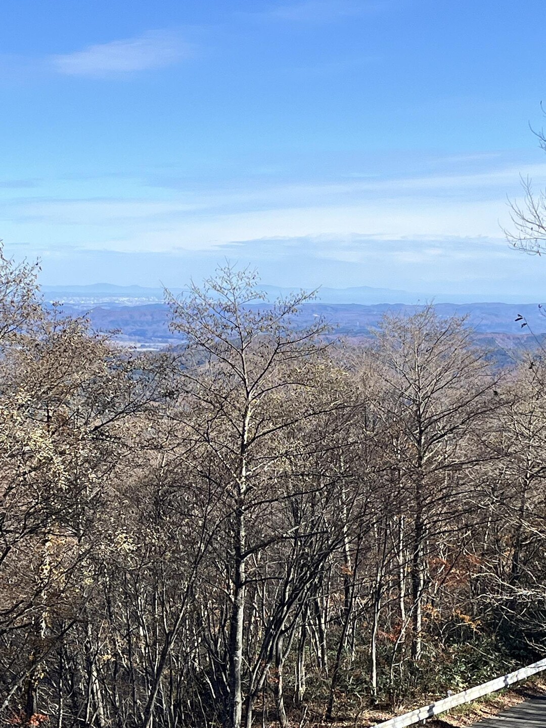 蔵王-2024-11-21 / ki kiさんの深山の活動データ | YAMAP / ヤマップ