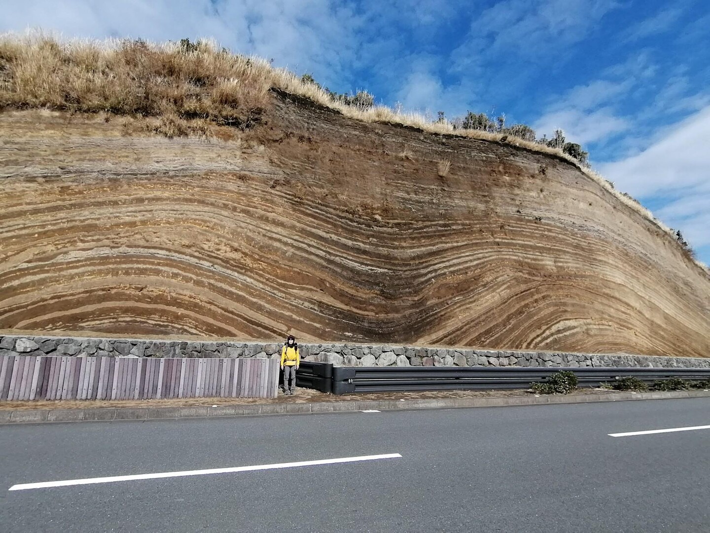 伊豆大島⭐巨大バームクーヘン / eryiさんの伊豆大島・三原山の活動データ | YAMAP / ヤマップ