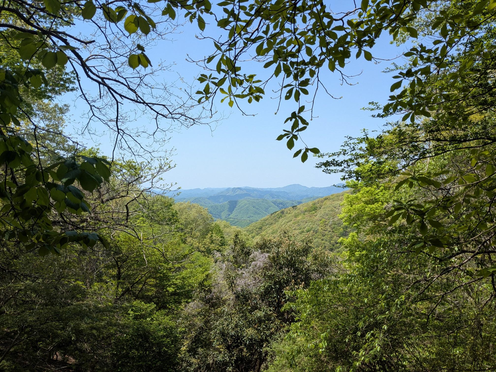 〈周回〉能勢妙見山 / mettaさんの能勢妙見山・歌垣山・天台山の活動データ | YAMAP / ヤマップ