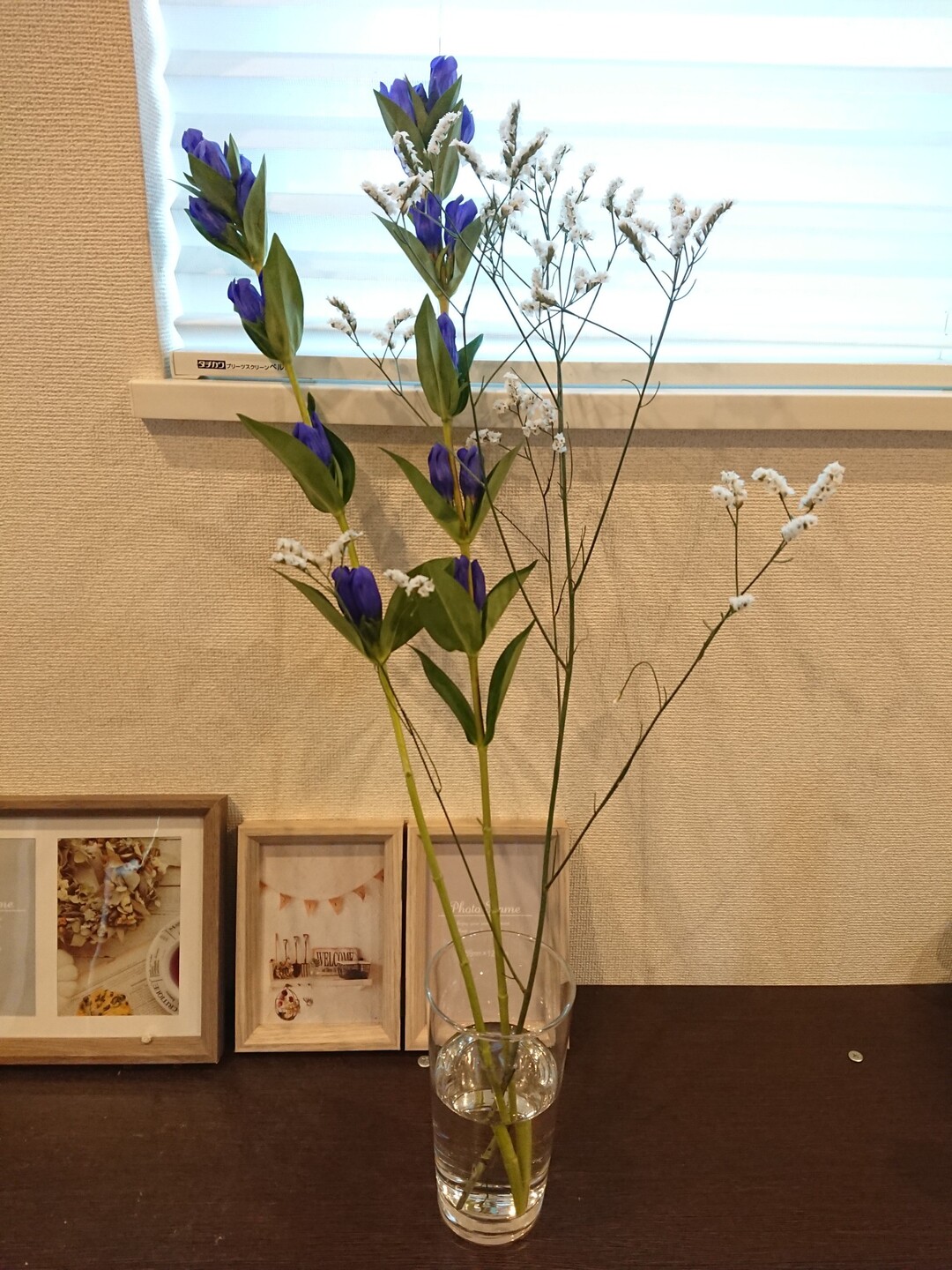 リンドウがきれいだったのではじめてスーパ... / 黒あめさんのモーメント | YAMAP / ヤマップ