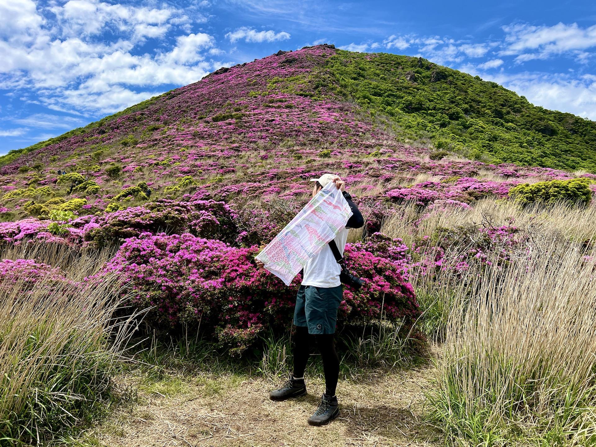 ミヤマキリシマ🌸と坊がつるテント⛺️(平治岳・久住山) / sun_moonさんの九重山（久住山）・大船山・星生山の活動日記 | YAMAP / ヤマップ