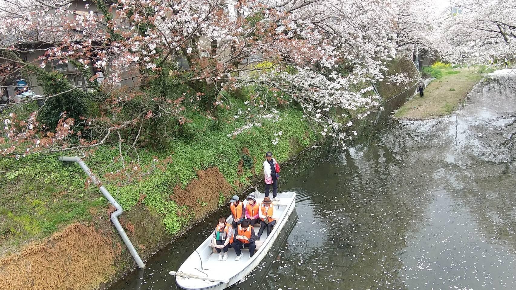 四国遍路20番札所鶴林寺から鶴林寺山へ / sumiさんの鶴林寺山の活動データ | YAMAP / ヤマップ