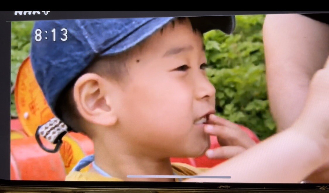 NHK 小さな旅「やさしい道に導かれ ～... / テラさんのモーメント | YAMAP / ヤマップ