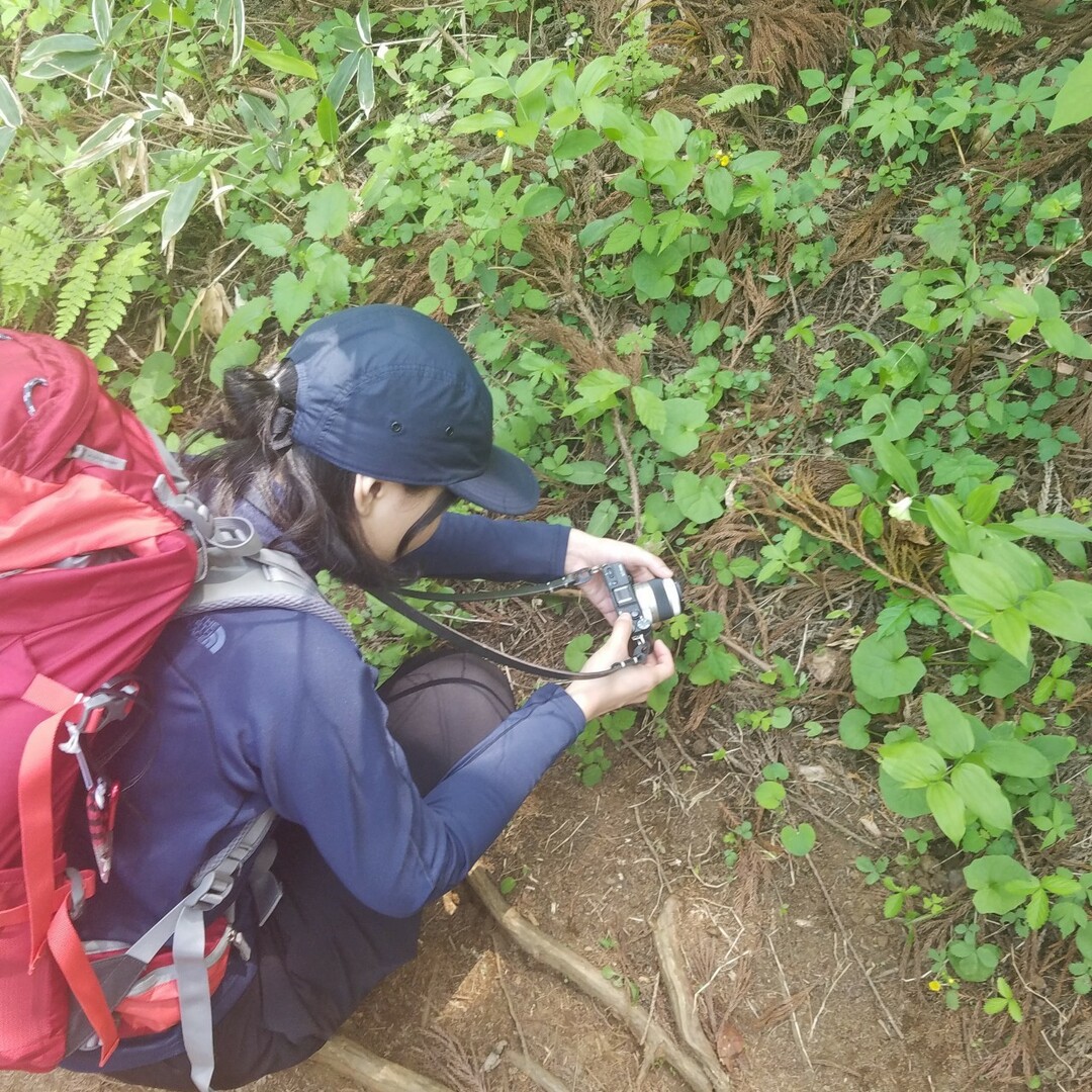 Akane | YAMAP / ヤマップ