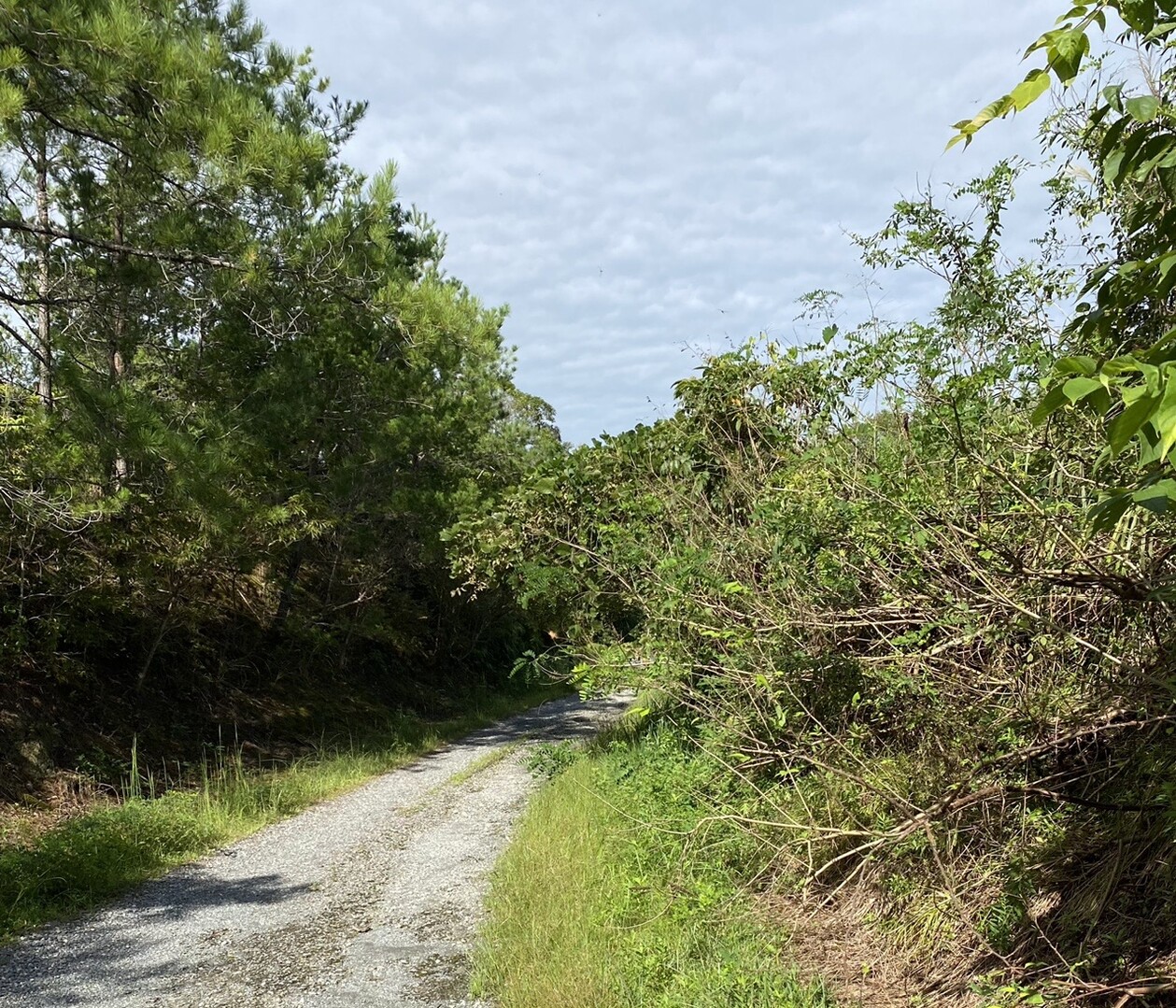 ウォーキング-2021-09-20 / sigeさんのウォーキングの活動データ | YAMAP / ヤマップ