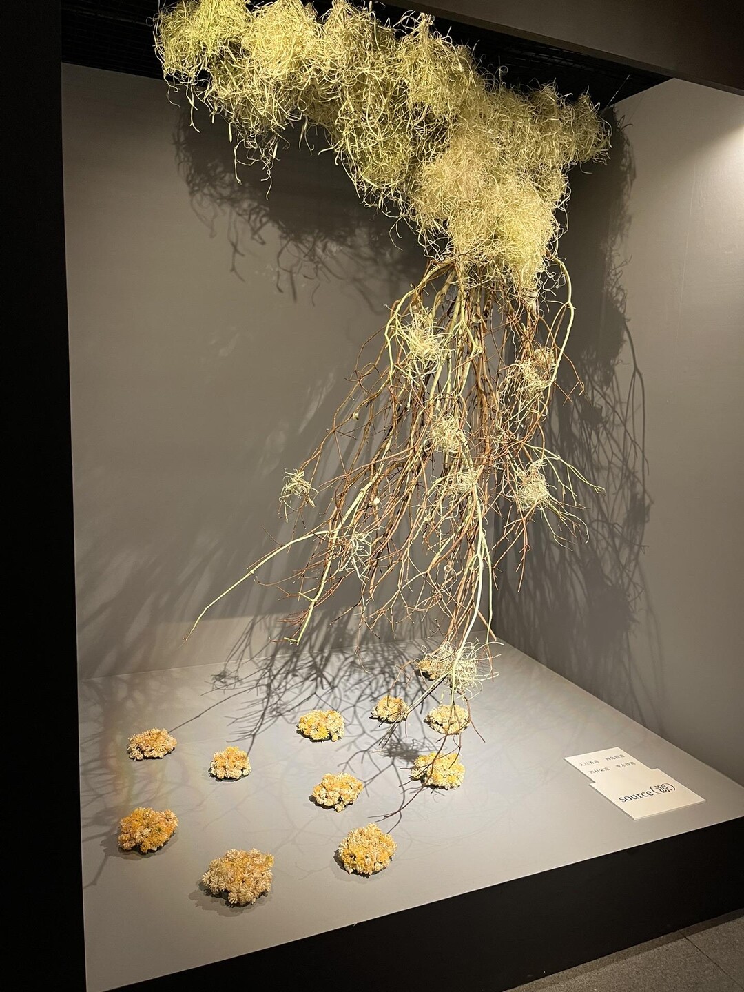 日曜日は一日中雨でしたね 梅田阪急で未生... / pumpkin manさんのモーメント | YAMAP / ヤマップ