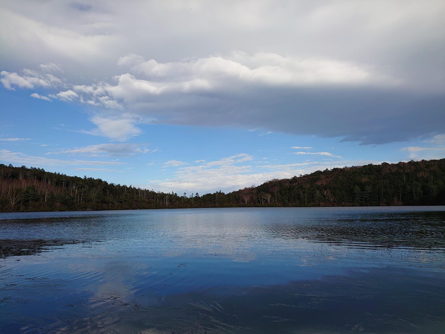 白駒池(茅野市・佐久穂町) / Komaさんの蓼科山・横岳・縞枯山の活動データ | YAMAP / ヤマップ