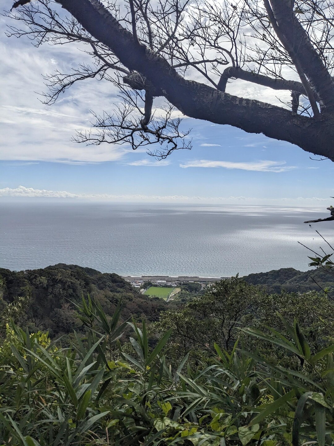日本平・有度山 TR / Nozuruさんの日本平の活動データ | YAMAP / ヤマップ