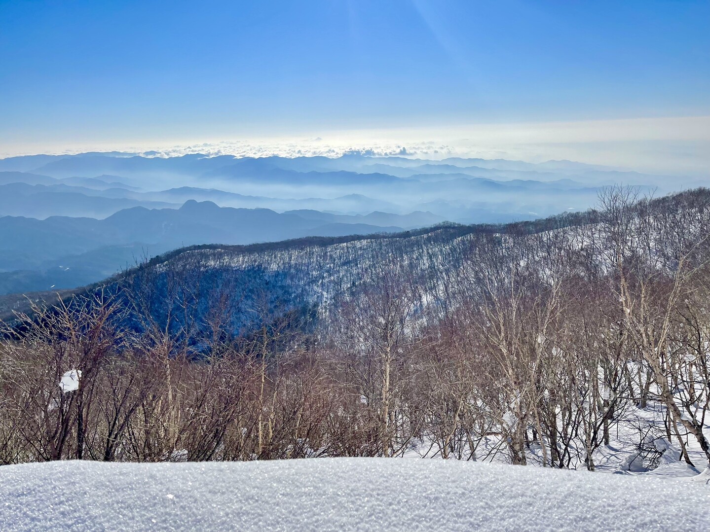 雲海は続くよ、どこまでも📸 / HIRO88さんのモーメント | YAMAP / ヤマップ