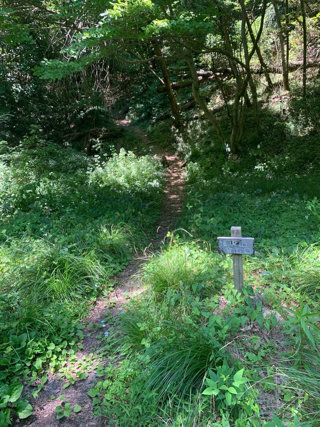 oioiさんの投稿したフィールドメモ | YAMAP / ヤマップ